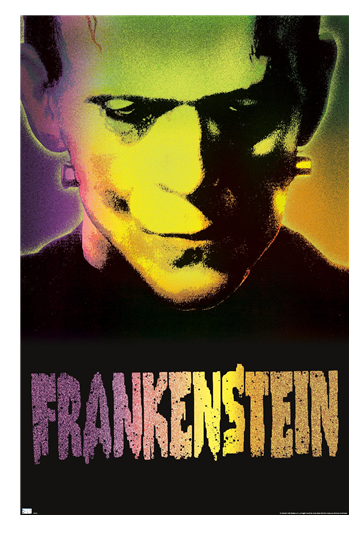 Frankenstein - Close up Poster – Kryptonite Character Store
